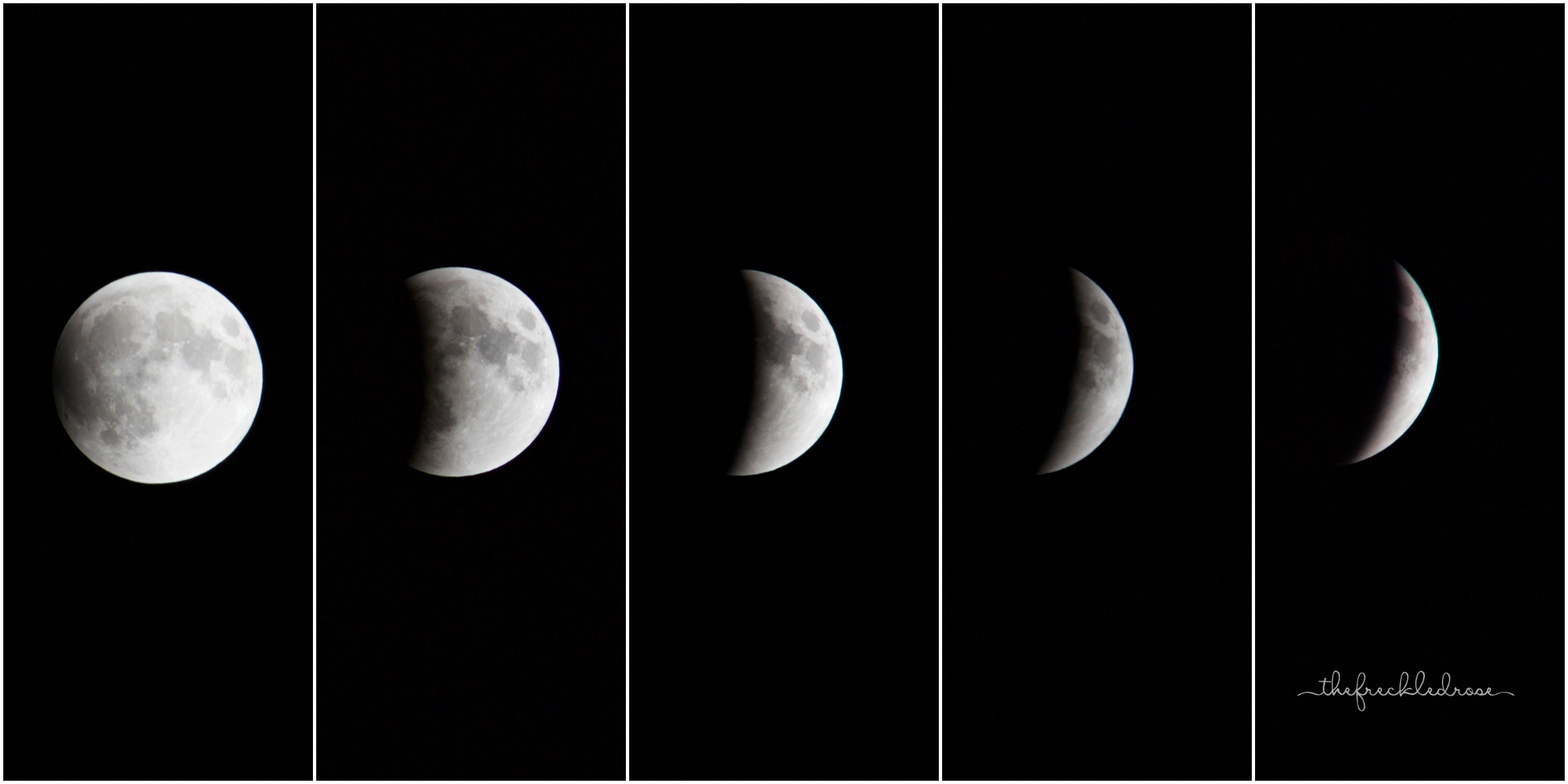 The Supermoon Eclipse | Angie The Freckled Rose