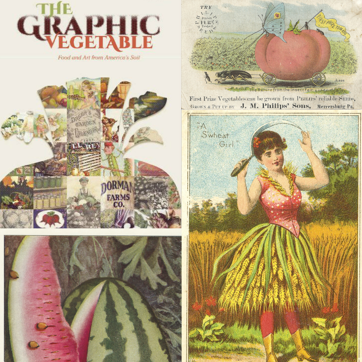 Vegetable Garden Graphic